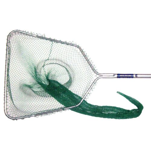 How to catch prawns | WIRFAB