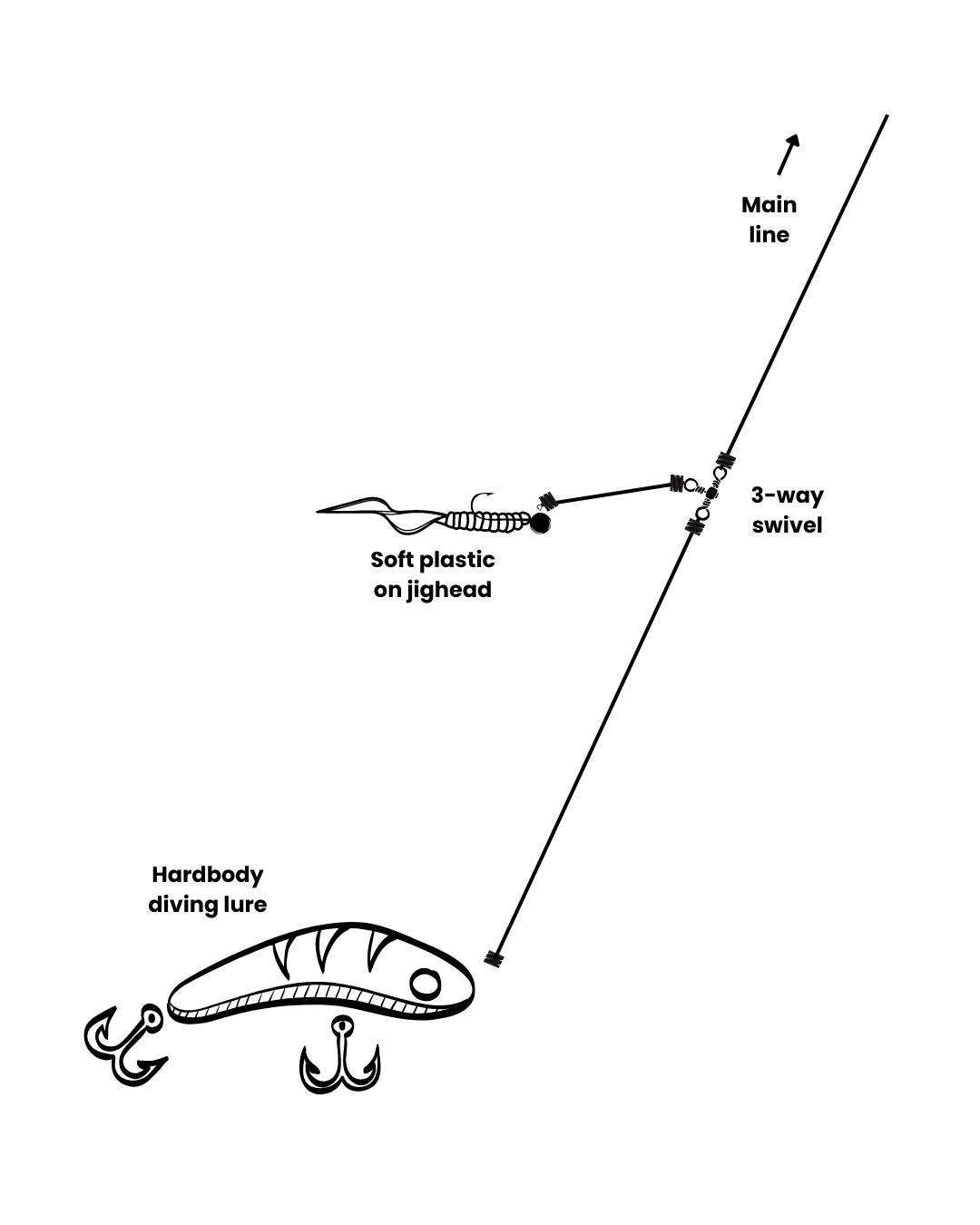 Tips for targeting Redfin Perch | WIRFAB