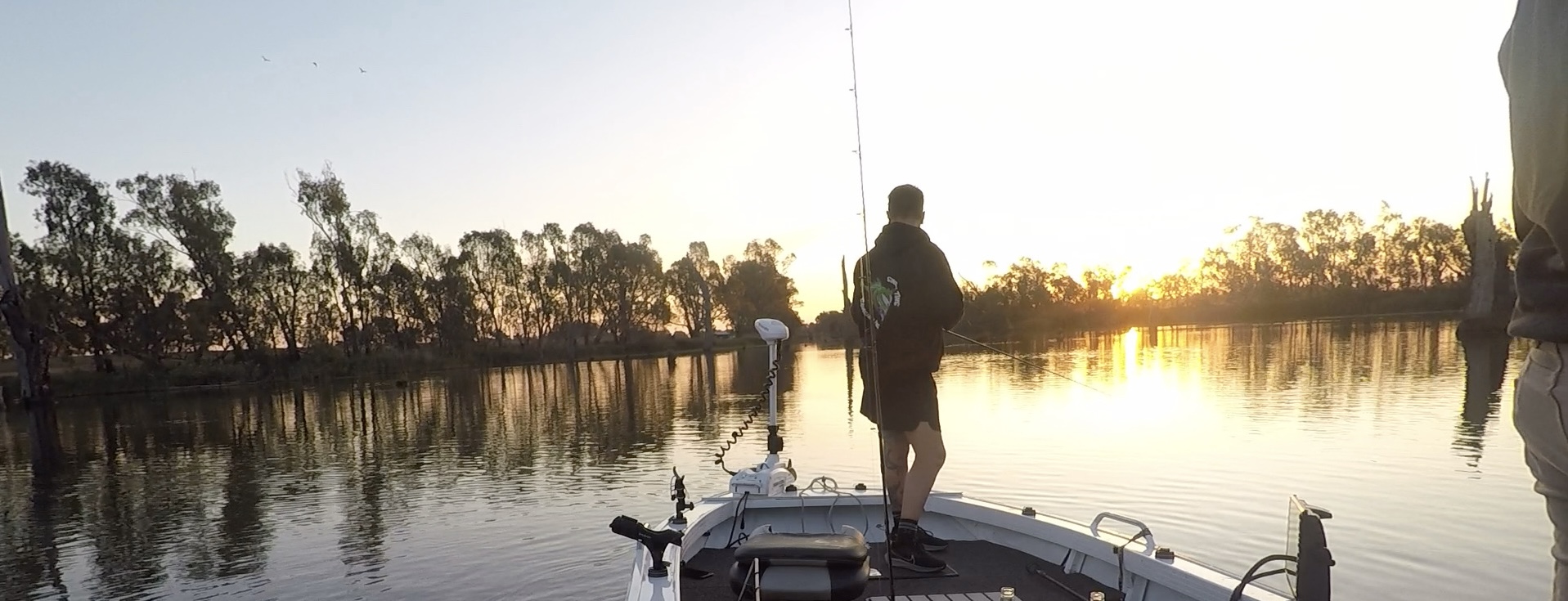 Tips for targeting Redfin Perch | WIRFAB