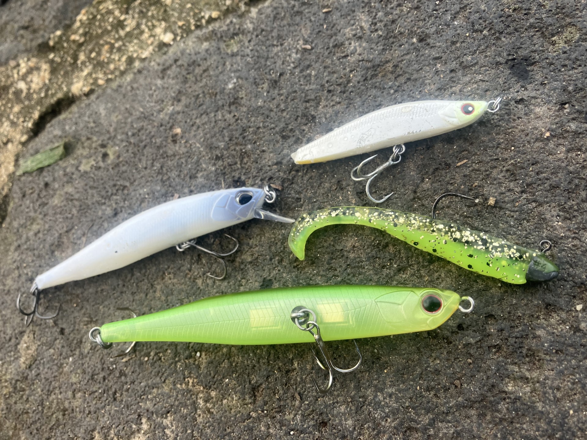 Tips for catching Trout | WIRFAB