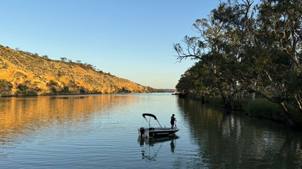 An introduction to targeting Murray Cod | WIRFAB