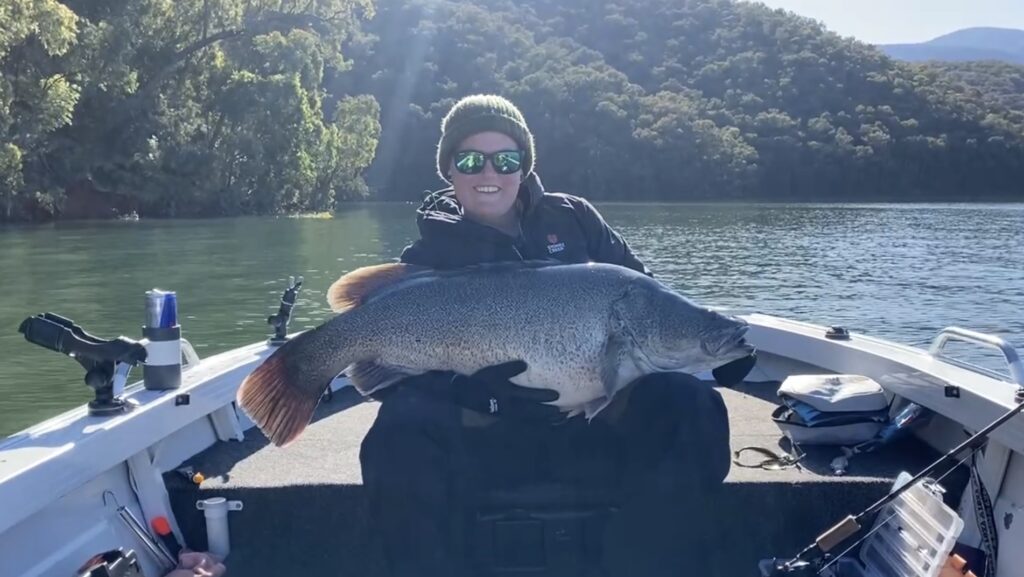 An introduction to targeting Murray Cod | WIRFAB
