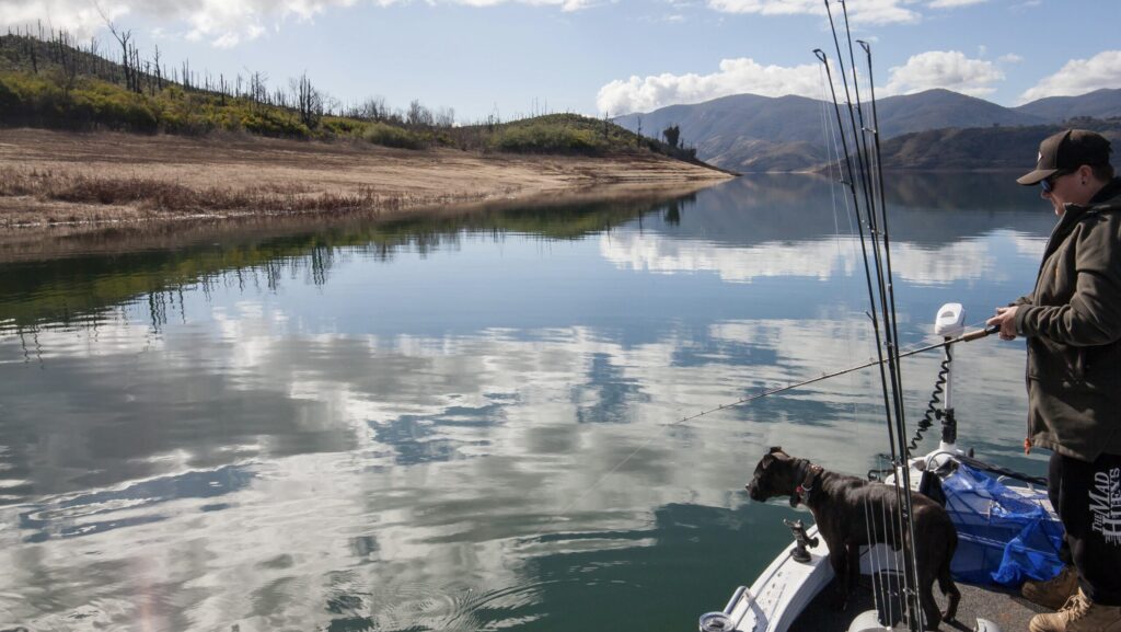 An introduction to targeting Murray Cod | WIRFAB