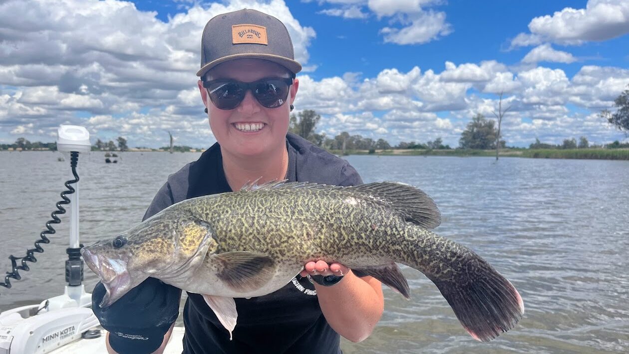 An introduction to targeting Murray Cod | WIRFAB
